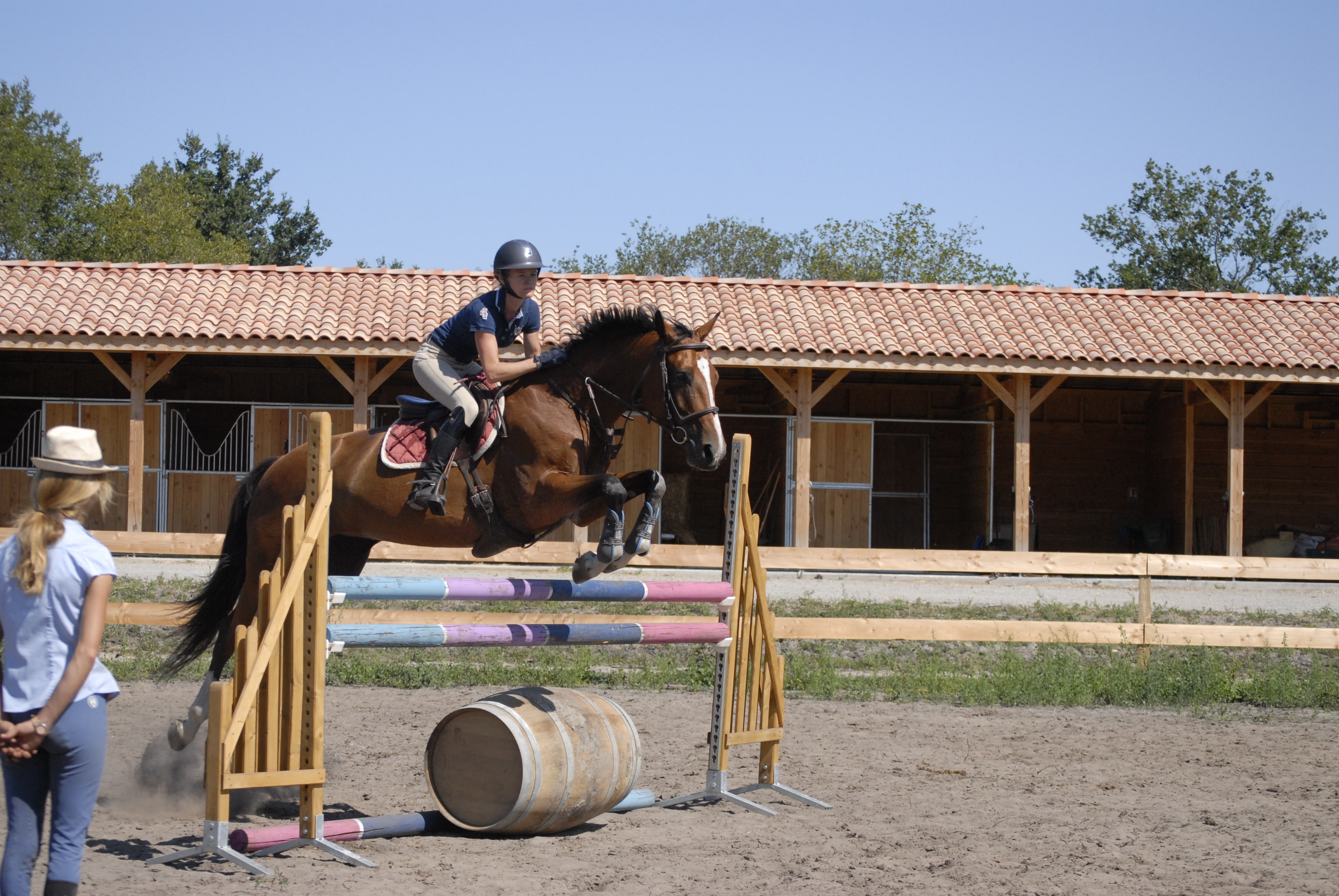 cours équitation cso obstacle dressage bordeaux saint aubin-min ...